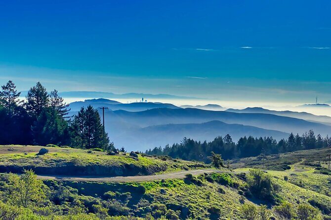 San Francisco Muir Woods, Point Reyes and Meadery Tour - What Travelers Say