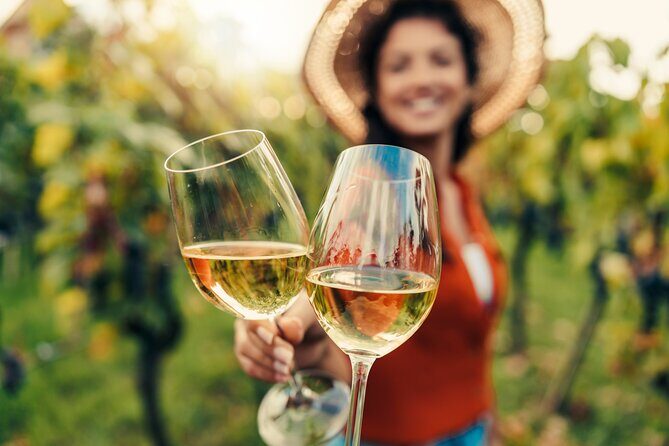 San Francisco: Napa & Sonoma Wine Tour & 24hr Hop-on Hop-off Tour - What Travelers Are Saying