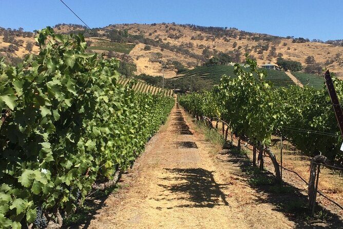 San Francisco Wine Tour with a Local Expert: 6 Tastings 100% Personalized - The Value for Your Money