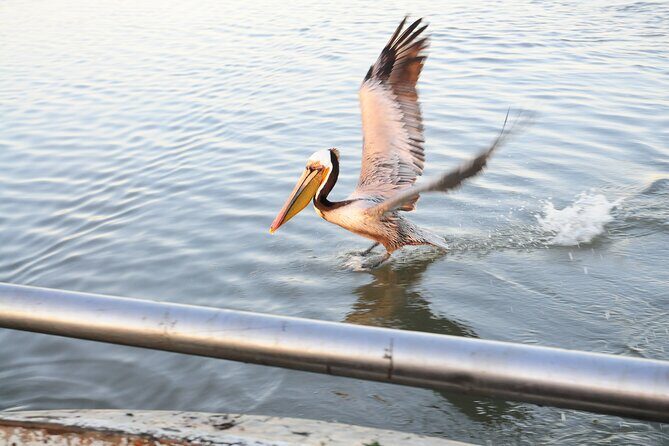 Sand Castles: The Remarkable Story of the San Francisco Embarcadero - The Experience: Our Take