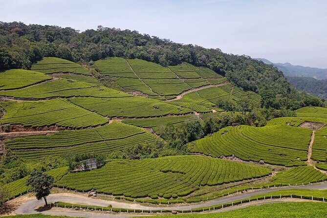 Sandal Wood & Sight Seeing Tour (Munnar Valley Trekking & Tours) - What Sets This Tour Apart