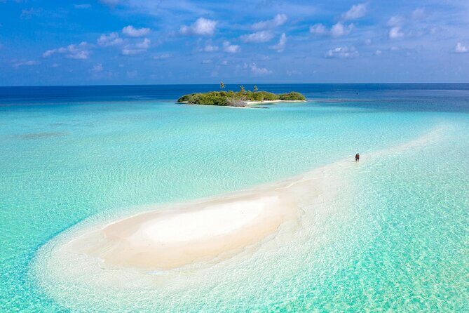 Sandbar Adventure from Key West - The Experience: What Travelers Say