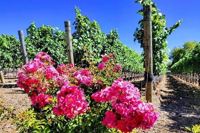 Santa Barbara Wine Tasting Day Tour from Los Angeles - The Sum Up: Is This Tour Right for You?