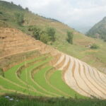 Sapa Half Day Hard Trekking Villages Trip with Lunch and guide - A Deeper Look at the Itinerary