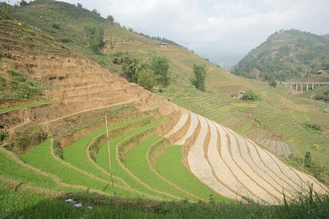 Sapa Half Day Hard Trekking Villages Trip with Lunch and guide - A Deeper Look at the Itinerary