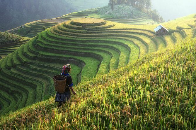 Sapa Trekking 3 Days 2 Nights by Bus - Homestay & Hotel - Who Should Consider This Tour?