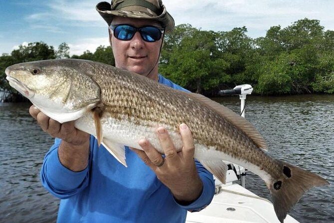 Sarasota Inshore Fishing Charters - Final Thoughts: The Value of Sarasota Inshore Fishing Charters