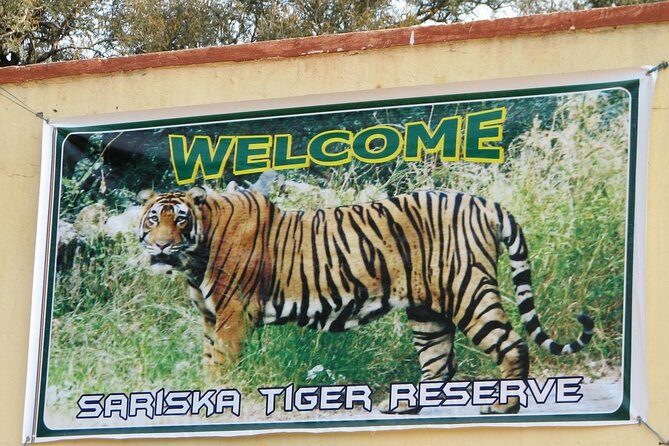 Sariska Tiger Reserve Safari Tickets (Skip The Line) - The Sum Up