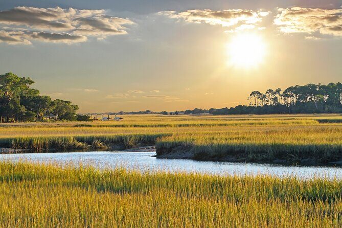 Savannah Coastal Dolphin Eco Tour - Who Should Consider This Tour?