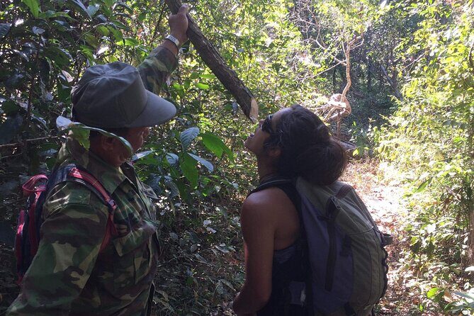 Savannakhet outskirt Day Trip Dong Natad Trekking - What Travelers Love About This Tour