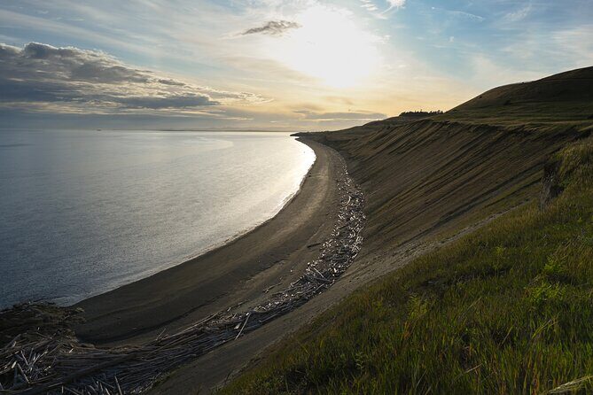 Scenic Coast and Wildlife Tour - Who Would Love This Tour?