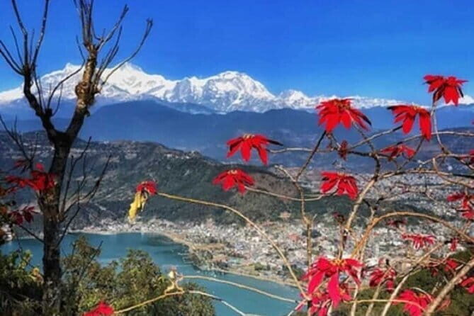 "Scenic Hiking: 3-4 Hour Village Walk from Sarangkot to Naudanda" - Overview of the Tour Experience