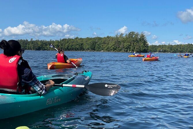Scenic Sebago Lake Historical Tour by Kayak - The Sum Up