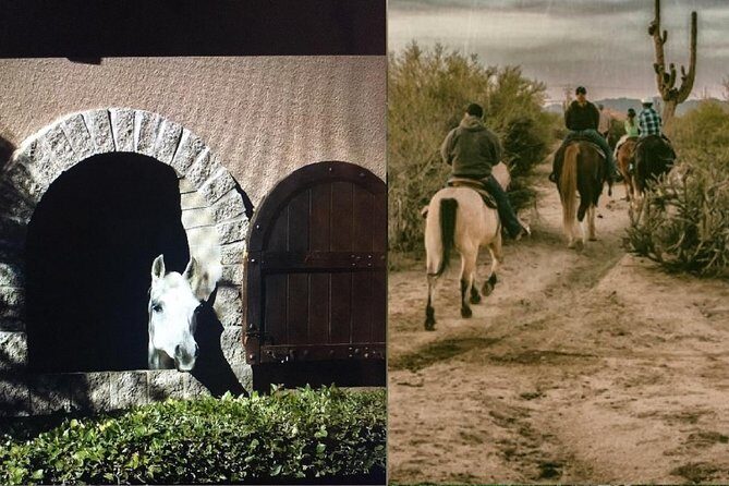 Scottsdale Horseback Riding and Horse Country Estate Tour - Scottsdale Horseback Riding and Horse Country Estate Tour: An Authentic Adventure in the Desert