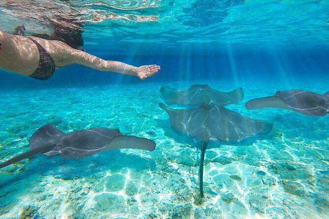 Scuba Diving from Kalpitiya - Introduction to the Experience