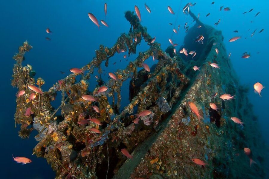 Scuba Diving in Dubrovnik: 1 Dive for Certified Divers - What the Experience Feels Like