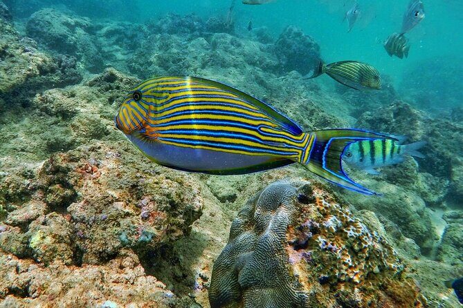 Scuba Diving in Trincomalee - Exploring the Experience