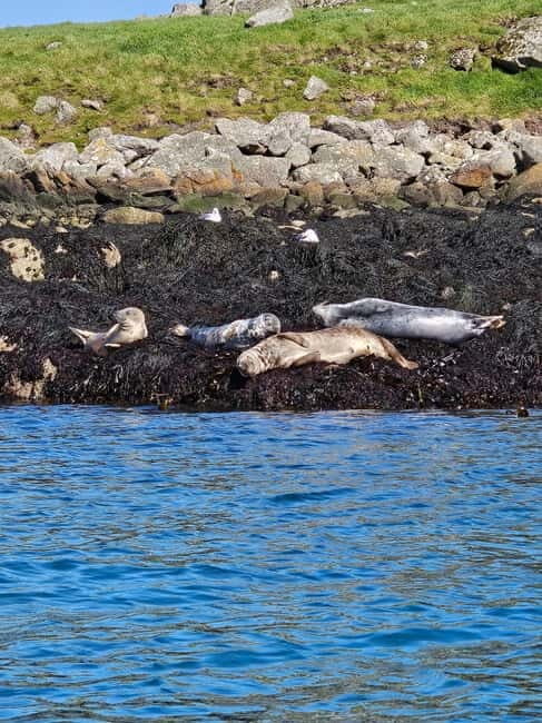 Sea kayaking Killiney beach to Dalkey Island with Pictures - The Sum Up