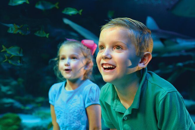 SEA LIFE Kansas City Aquarium Admission Ticket - The Realities: What Visitors Say
