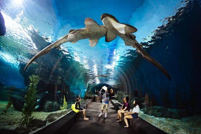 SEA LIFE Ocean World at Bangkok Admission Ticket - What to Expect at SEA LIFE Bangkok Ocean World