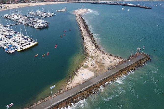 Sea Lion Kayak Tour - Santa Barbara Harbor - What to Expect at Each Stop