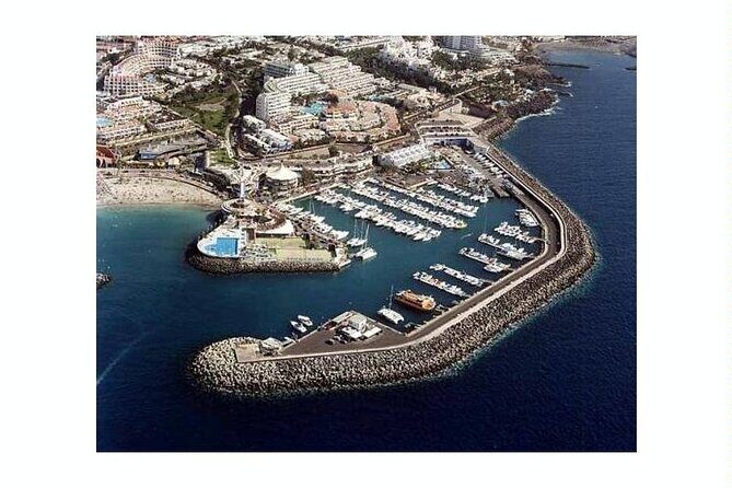 SEA SAFARI Dolphins,Whales, snorkeling, snack, drink, 3h private - The Sum Up: Is It Worth It?