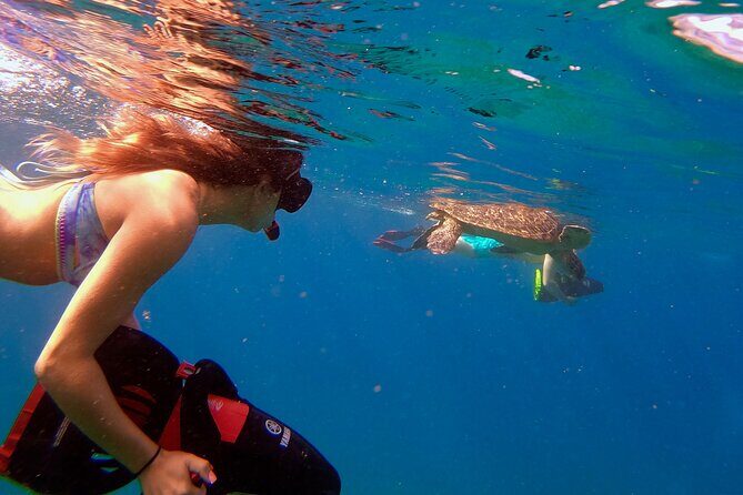 Sea Scooter Snorkeling Guided Tour - Turtle Town - The Experience Itself: From Preparation to Underwater Adventure