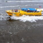 Sea Screamer Cruise - 2 Hour Dolphin Watch Tour in South Carolina - What to Expect from the Tour