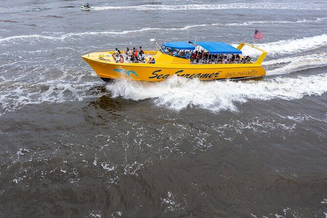 Sea Screamer Cruise - 2 Hour Dolphin Watch Tour in South Carolina - What to Expect from the Tour