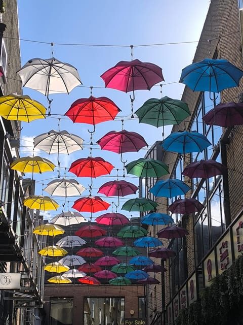 Secret and unusual Dublin: guided walking tour - An Authentic Look at Dublin’s Hidden Side