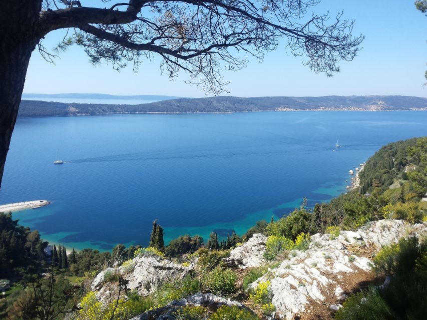 Secret Marjan Park Hiking Tour in Split - Why the Secret Marjan Park Hiking Tour Stands Out