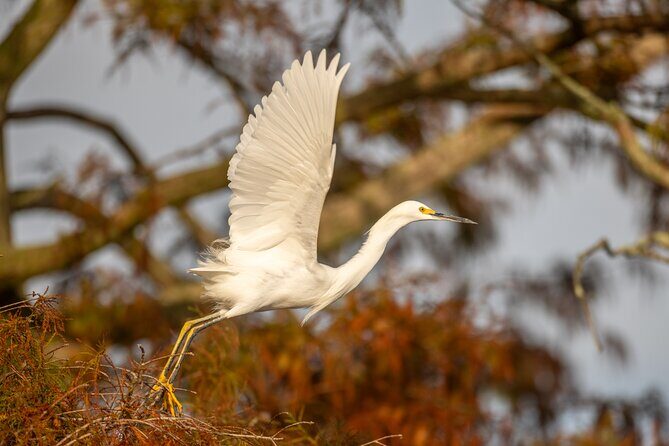 See the real Florida with a Private Nature and Wildlife Boat Tour - See the real Florida with a Private Nature and Wildlife Boat Tour