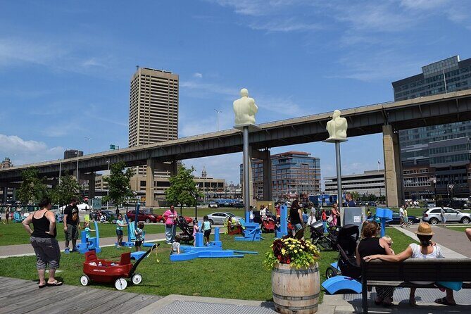 Self-Guided Buffalo Scavenger Hunt: Roaming Buffalo - The Value of This Experience