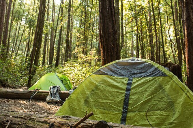 Self Guided Driving Audio Tour of Redwood National and State Park - Additional Practical Details