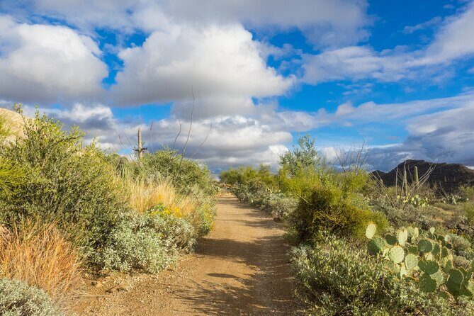 Self Guided Driving Audio Tour of Saguaro National Park - A Closer Look at the Itinerary