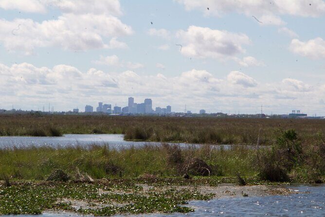 Self Guided Kayak Bayou Swamp Tour - An Authentic Bayou Experience Close to the French Quarter