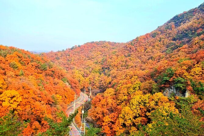 Seoul City Highlights Tour: Hanok Village, Scenic Routes - The Value of This Tour