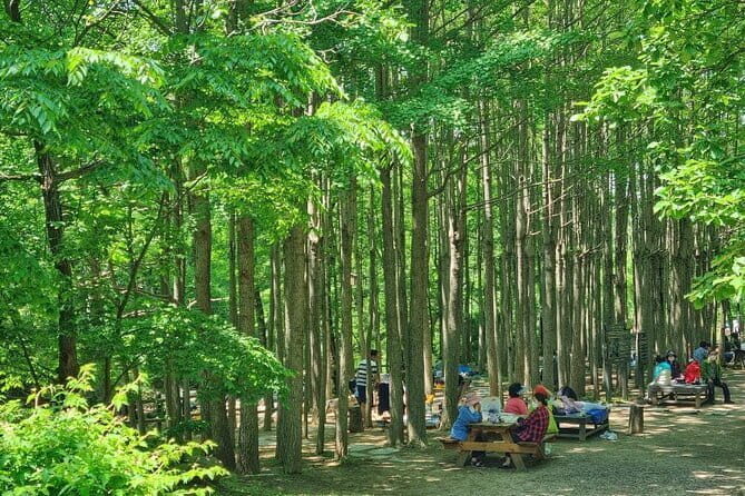 Seoul City Tour / Small Group / 8 Max - What’s Included and Whats Not