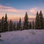 Sequoia National Park Adventure from Tulare - The Experience: What You Can Expect