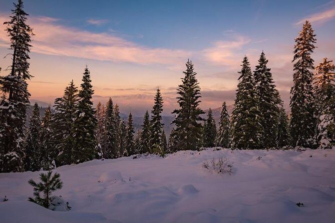 Sequoia National Park Adventure from Tulare - The Experience: What You Can Expect