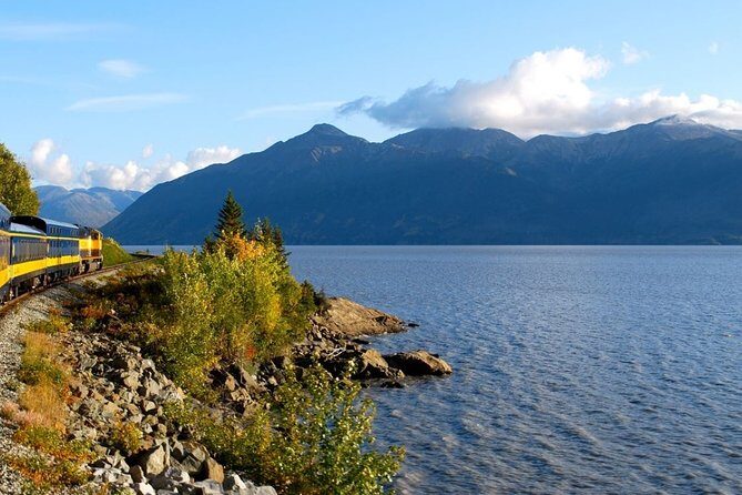 Seward to Anchorage Cruise Transfer and Private Tour - The Itinerary in Detail