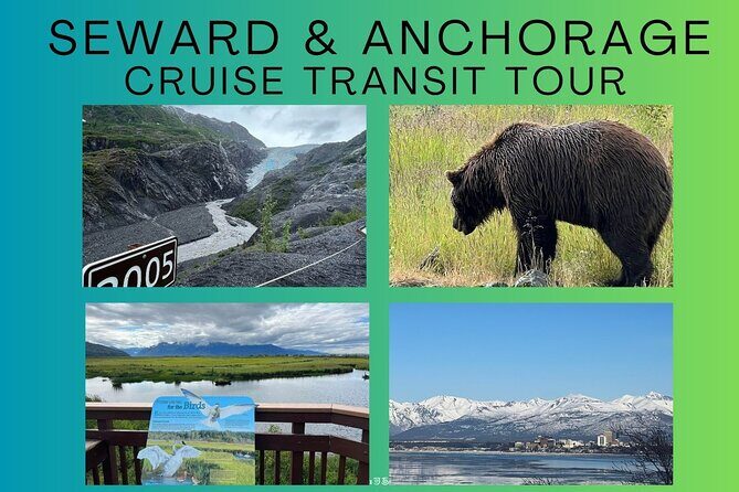 Seward to Anchorage transfer with National Park hike and AWCC - Who Will Love This Tour?