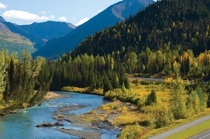 Seward to Anchorage Wildlife Adventure - Who Would Enjoy This Tour?