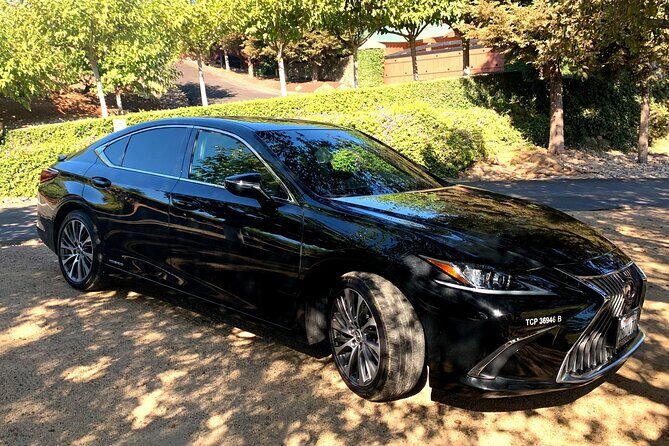 SF to Napa/Sonoma Wine Tour Transportation in Luxury Sedan - Who Will Love This Tour?