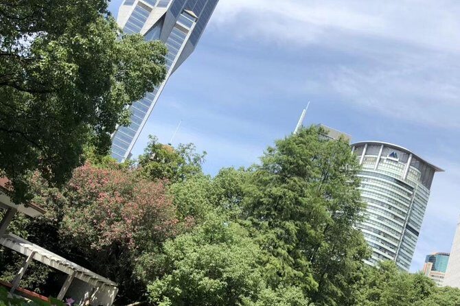Shanghai Airport Layover Tour - Detailed Breakdown of the Itinerary