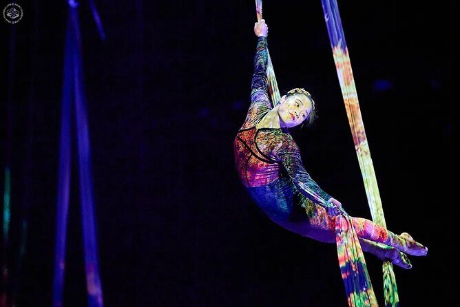 Shanghai Must-See Acrobatics Show with Private Transfer - Final Thoughts