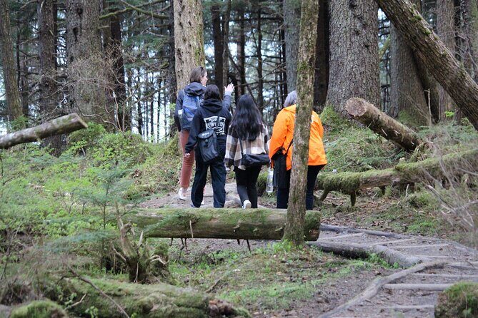 Shared Mindfulness in Wilderness Tour From Alaska - Who Is This Tour Perfect For?