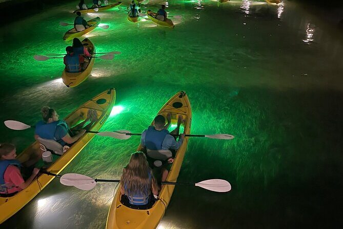 Sharkey's Glass Bottom Fish Feeding LED Night Tour in Clearwater - Authentic Experiences and Honest Feedback