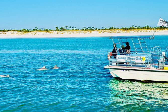 Shell Island Dolphin Sightseeing Boat Tour in Panama City Beach - What You’re Getting for Your Money