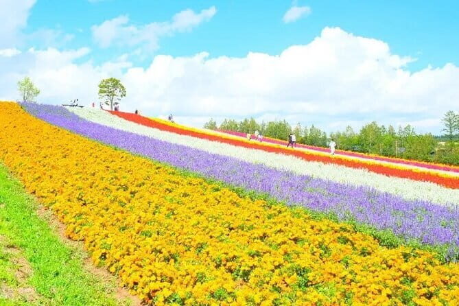 Shikisai-no-Oka and Furano Tour with buffet lunch from Sapporo - Scenic Drive on Roller Coaster Road